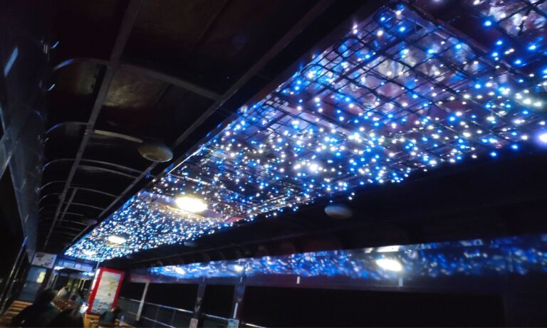 わたらせ渓谷鐵道『トロッコわたらせ渓谷号』に乗ってきた！家族で楽しむ絶景ローカル線の旅